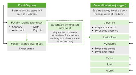 Types Of Seizures How To Tell Them Apart And Giving First 52 OFF
