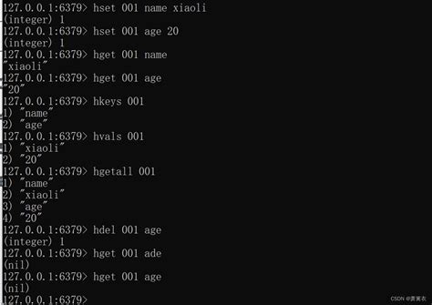 瑞吉外卖笔记——第05讲redis入门瑞吉外卖reids笔记 Csdn博客 瑞吉外卖笔记——第05讲redis入门瑞吉外卖reids笔记 Csdn博客