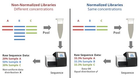 Dna Sequencing Illumina Workflow Part 3 Library Normalization