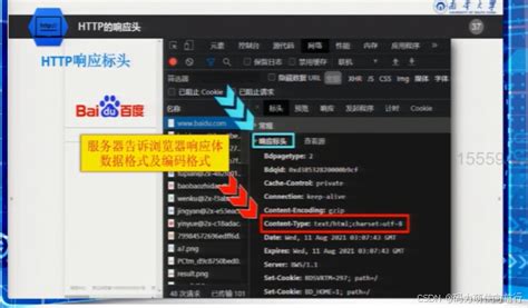 Python数据爬取与可视化听课笔记 Day2 7 响应头 Csdn博客