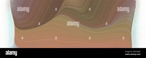 Abstract Dynamic Curved Lines Colorful Banner Design With Pastel Brown
