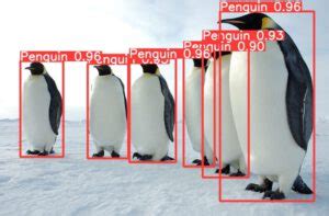 The Practical Guide For Object Detection With YOLOv5 Algorithm Towards Data Science