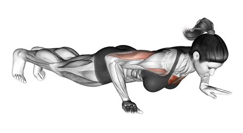 18 Types Of Push Ups Variations Novice Intermediate Advanced Inspire US