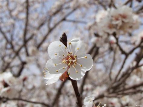 开源轻量级 Im 框架 Mobileimsdk 的微信小程序端已发布！ 知乎