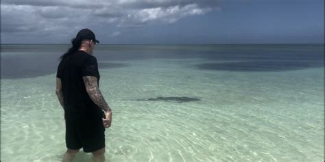 Booked By Michelle McCool The Undertaker Versus A Shark In A One On One Match