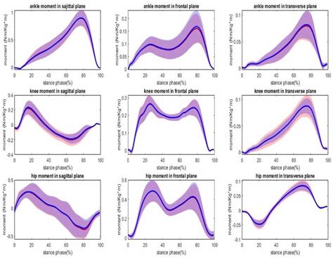 Measured And Predicted Lower Extremity Joints Moment At Slow Walking
