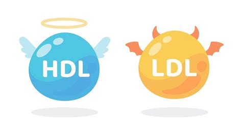Hdl And Ldl Cholesterol Cartoon Good Fat And Bad Fat Accumulated In