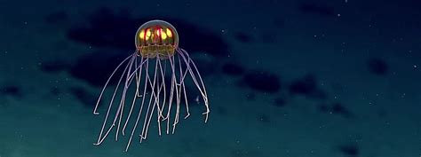 Me Zo Ganet E Kreiz Ar Mor Amicale Laïque De Penmarch