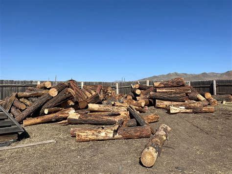 ИРГЭДИЙН АНХААРАЛД