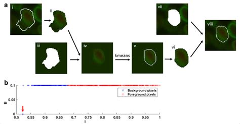 Precise Segmentation Process A The Precise Segmentation Pipeline I Is Download Scientific
