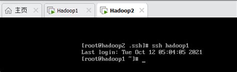 Hadoop集群搭建（二）——linux系统ssh远程双向免密登陆hadoop免密登录生成ssh Csdn博客