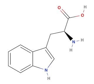 Tryptophan Definition Structure Benefits Study Com