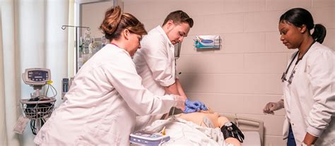 Associate Degree In Registered Nursing Carroll Community College