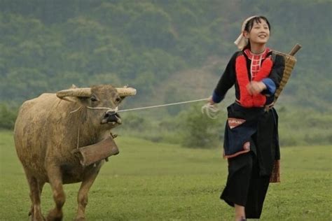 Phim Việt Gây Tranh Luận Về Trang Phục Giải Trí Znewsvn