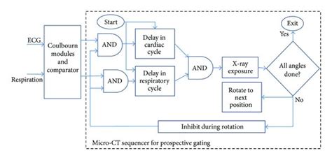 Micro Ct With Prospective Cardiorespiratory Gating A Presents The Download Scientific