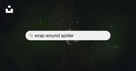Wrap Around Spider Pictures Download Free Images On Unsplash
