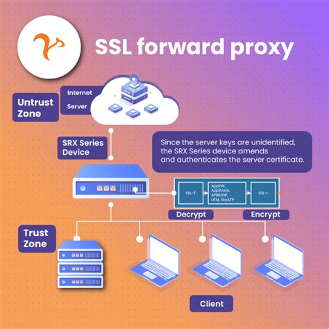 What Is A Ssl Proxy Meaning And How Does It Work Netnut