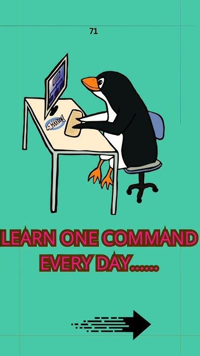 Learn One Command Every Day 71 Linuxtutorial Linuxcommandlinetutorial Linuxcommands Youtube
