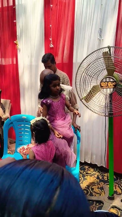 എറിയട്ടെ 😳😳🤣🤣👍🏻👌🏻 Shortsfeed Trendingshorts Shortsvideo Youtube