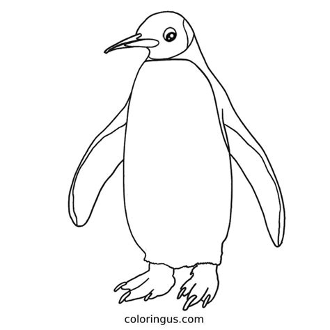 Penguin Coloring Pages Free Printable Pdf