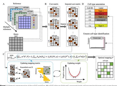 Figure 1 From Scdot Enhancing Single Cell Rna Seq Data Annotation And