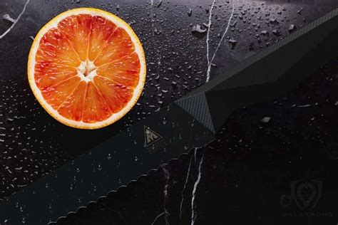 The Orbit Razor Pizza Wheel And Cutter