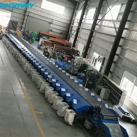 Iconvey Conveyor Belt Sorting Machine Parcel Machine Sorted Parcel
