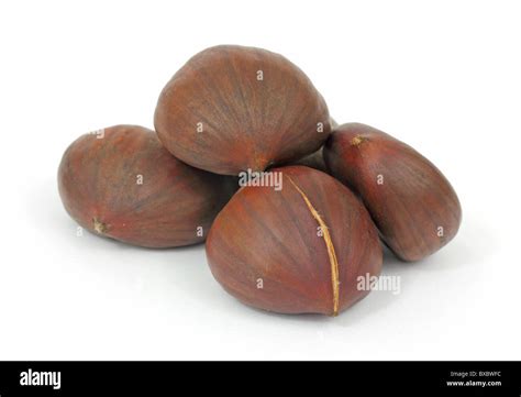 Chestnuts In Shell Hi Res Stock Photography And Images Alamy