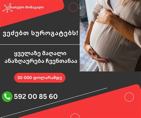 🔴⭕ ჯეკი ჩანი თამაშობს უონგ ფეი ჰანგს რომელსაც მამა ბიძასთან კუნგ ფუს ცნობილ ოსტატთან გაგზავნის