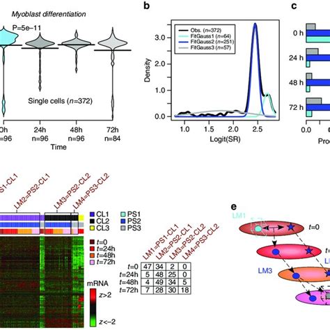 pdf single cell entropy for accurate estimation of differentiation