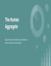 Understanding The Human Aggregate Exploring Social Aggregates Course Hero
