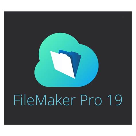 Claris Filemaker Pro 19 Etsy