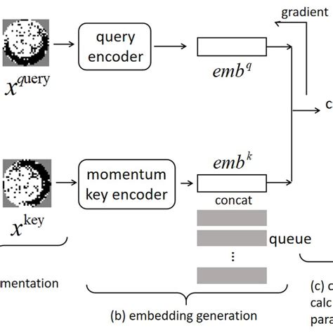 The Proposed Momentum Contrastive Learning Framework Download Scientific Diagram