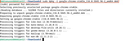How To Install Packages On Debian LinuxWays
