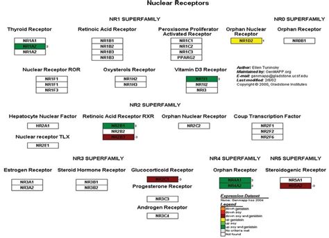 A Representative Cellular Pathway Map Constructed By Genmapp Showing
