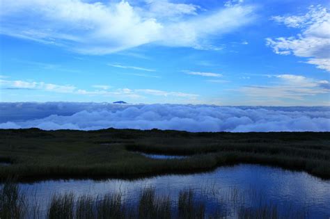 ー 雲海の上にちょっと鳥海山 ー GANREF