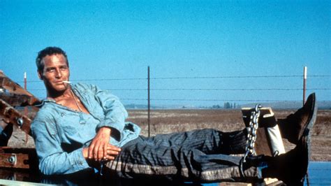 The Ending Of Cool Hand Luke Explained