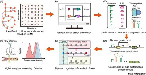 实验室刘龙团队trends In Microbio│基于基因线路的代谢流优化 糖化学与生物技术教育部重点实验室