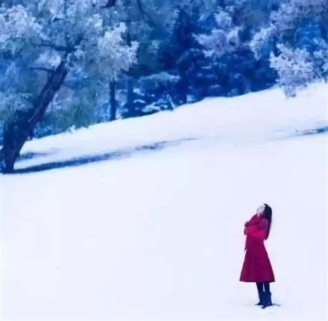 冬雪意境 冬雪梅花图片 冬雪美景 大山谷图库
