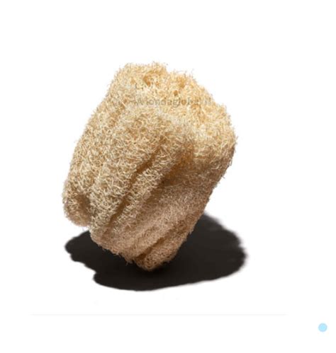 오피신유니버셀불리 내추럴 스폰지 루파 바디 스펀지 티몬