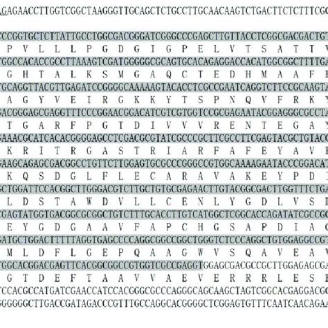 The Full Length Cdna Sequence And Deduced Amino Acid Sequence Of Saidh Download Scientific