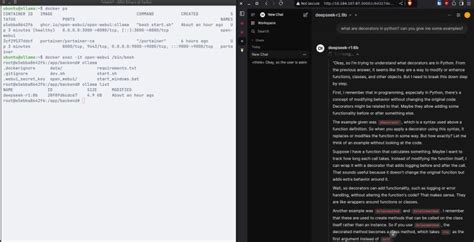 Deepseek Docker Llm Devops Selfhosted Ai Infrastructure Llm ☁️daryl G