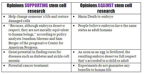 Pro Embryonic Stem Cell Research