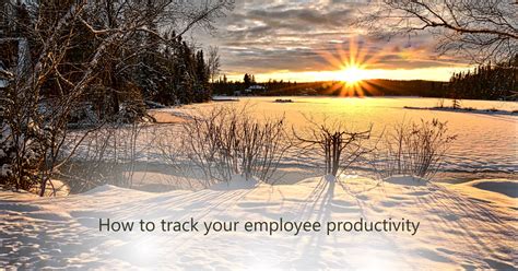 How To Track Your Employee Productivity Sones Accountancy Services