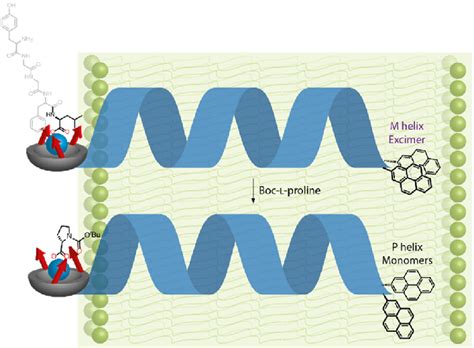 Reversal Of Screw Sense Preference In Dopc Derived Vesicles Using