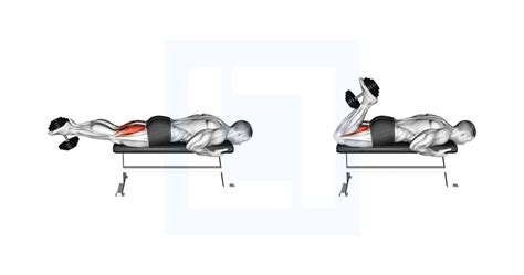 Dumbbell Lying Leg Curl Guide Benefits And Form