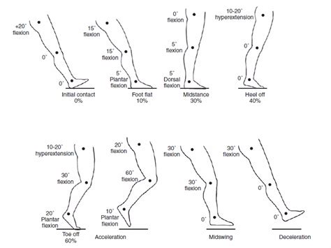 Kinematics And Kinetics Of Gait Pdf