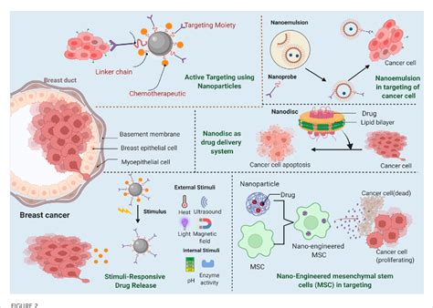 Figure 2 From A Review Of Nanomaterials From Synthetic And Natural Molecules For Prospective