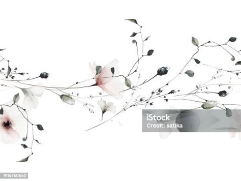 수채화 꽃 완벽 한 국경 화환입니다 섬세한 파스텔 핑크 양귀비 꽃 은행나무 Biloba 야생 녹색 잎 가지 0명에 대한 스톡 벡터 아트 및 기타 이미지 Istock