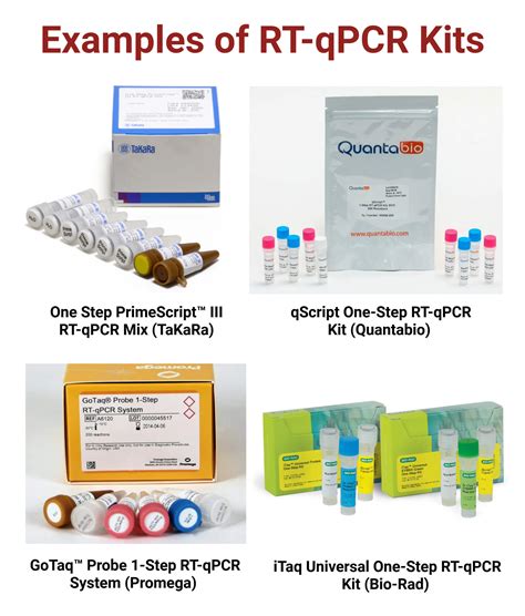 Rt Qpcr Principle Steps Types Kits Examples Applications